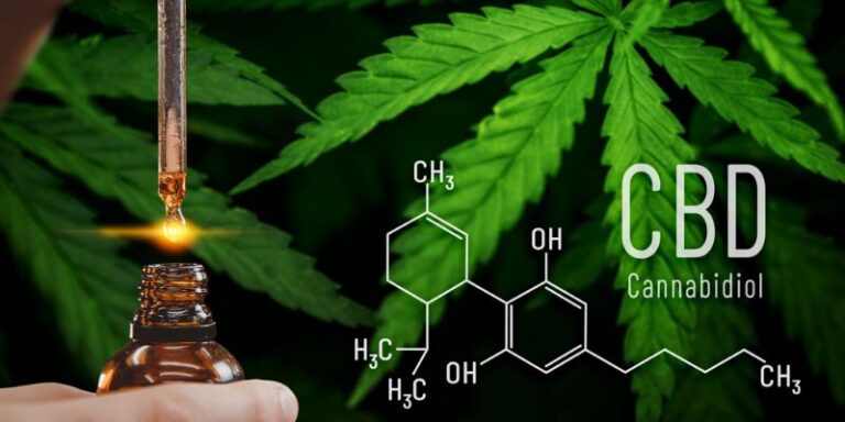 Understanding CBD In AP Human Geography 2026